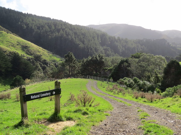 Approach to Natural Burial Cemetery Makara | Broadbent & May